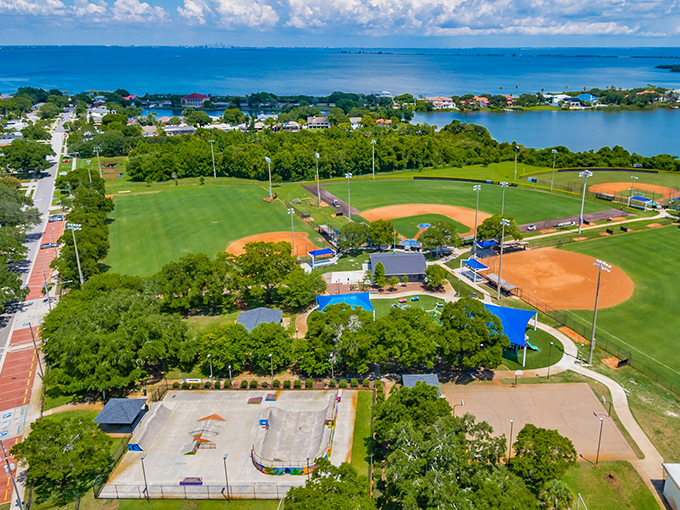 From baseball diamonds to waterfront views, Safety Harbor's parks offer the perfect backdrop for memory-making. Nature and recreation in perfect harmony.