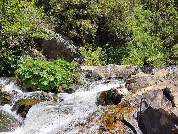 San Antonio Creek Falls doesn't need Instagram filters &ndash; Mother Nature already perfected this refreshing mountain cascade thousands of years ago.