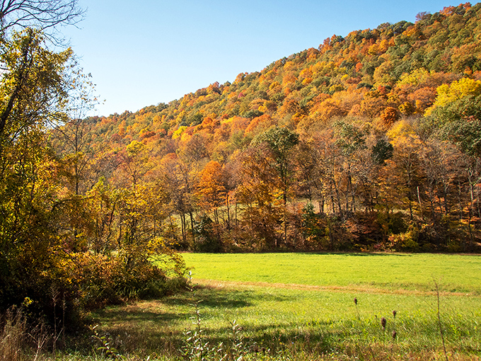 Nature puts on its most extravagant wardrobe during fall rides, dressing hillsides in colors that would make a peacock jealous.