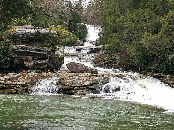 The gentle cascade viewed through a natural window of branches. Sometimes the best views come with their own organic framing.