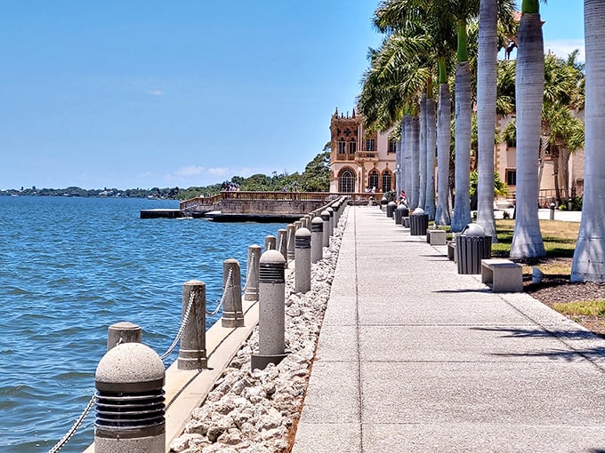 A row of royal palms stands at attention along the seawall, like elegant sentinels guarding this Mediterranean fantasy from ordinary Florida.