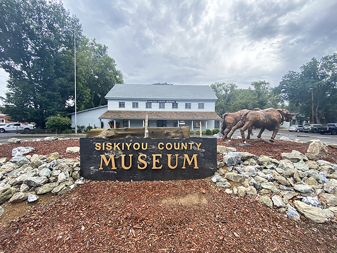 The Siskiyou County Museum announces itself with horse sculptures that seem to say, "Whoa there, partner &ndash; history inside!"