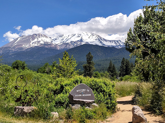 Sisson Meadow welcomes visitors with the subtlety of a friend who knows you need nature's therapy without making a big deal about it.