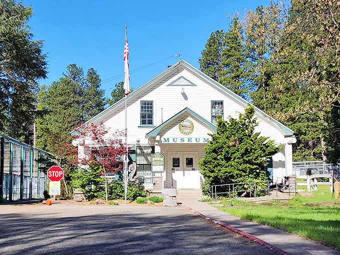 The Sisson Museum tells Mount Shasta's story without the admission prices of big-city institutions. History without the highway robbery.
