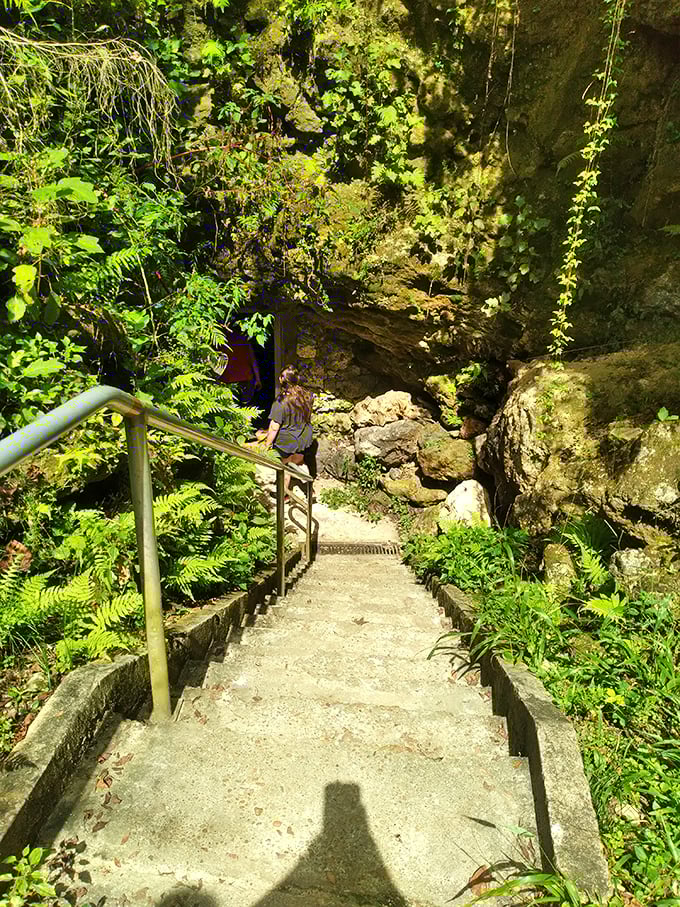 The descent into wonder begins here. These stairs lead visitors from Florida's familiar sunshine into a cool, mysterious underworld of geological marvels.
