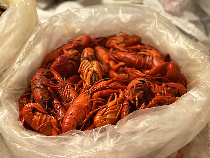 These crawfish look like they're attending their own red carpet event. Steamed to perfection and ready for their close-up.