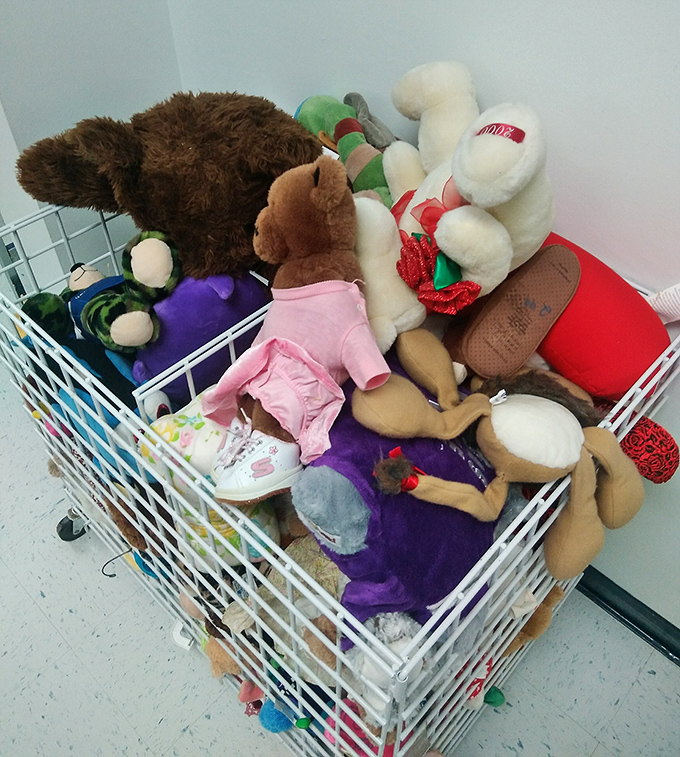The stuffed animal bin—a retirement community for once-beloved plush friends awaiting their second chance at cuddle stardom.