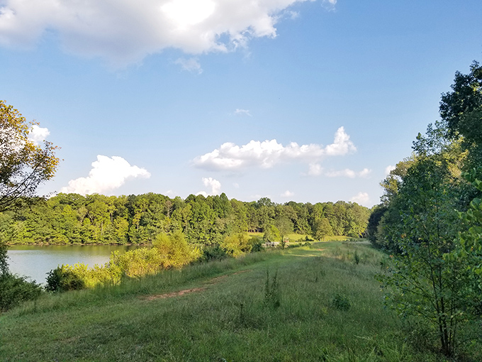 Summer's palette on full display &ndash; where emerald forests meet azure skies and golden meadows, creating a landscape worthy of your phone's home screen.