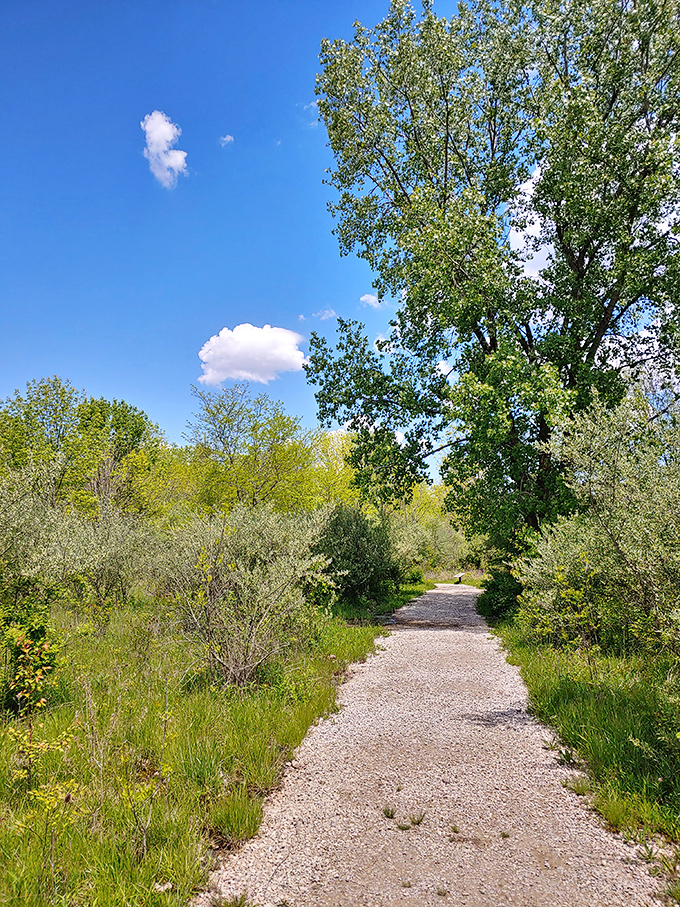 Summer at Alum Creek: where sand castles rise and fall faster than tech stocks in the '90s.