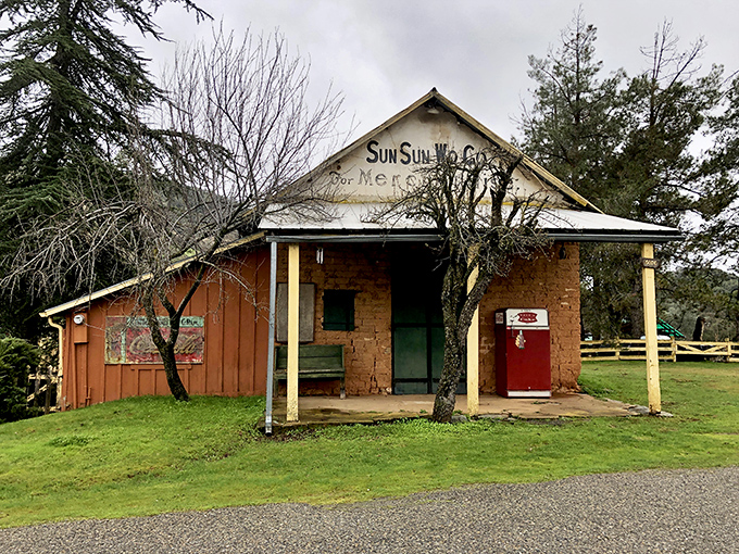 The Sun Sun Wo building stands as testament to Chinese immigrants who helped build California. History preserved without the admission fee.