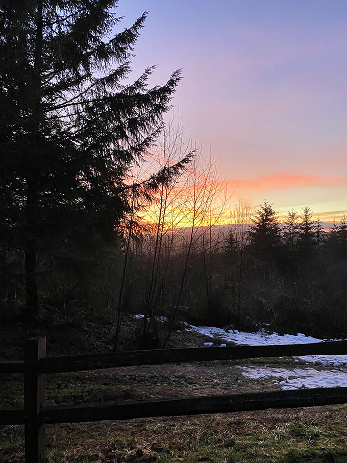 Sunrise creates a golden farewell to night. The perfect moment to sip coffee and contemplate life's big questions—or just enjoy the view.