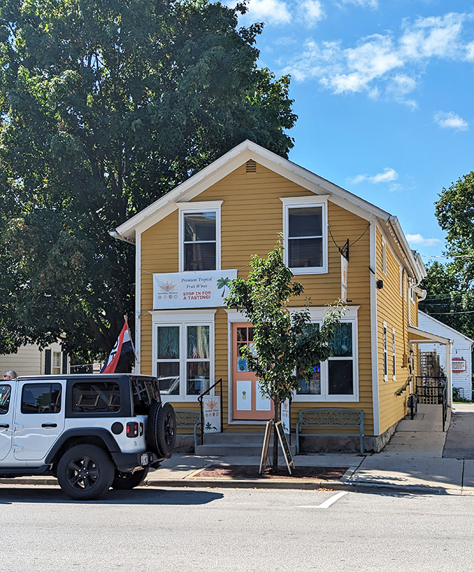 This sunny yellow building practically radiates small-town optimism, housing local businesses where shopping is still a social activity, not just a transaction.