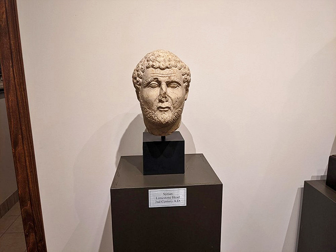 This 2nd century limestone head has seen more history than your high school textbook, yet still manages to look remarkably chill about it all.