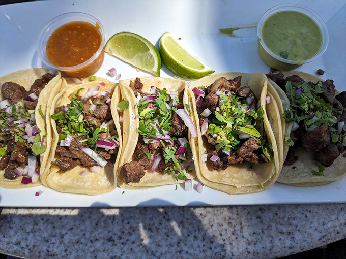 Street tacos done right&mdash;simple, flavorful, and topped with just enough cilantro and onion to make your taste buds dance a little jig.