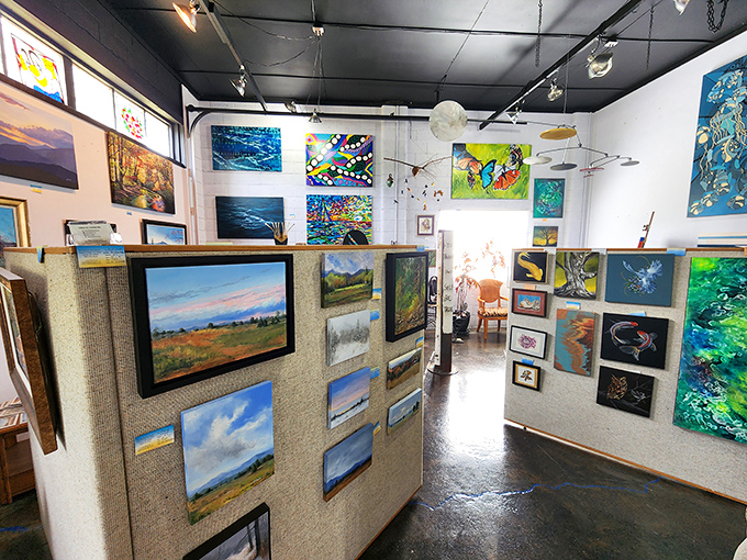 The Art Space on 211 showcases local talent in a gallery where Shenandoah Valley landscapes hang beside contemporary works&mdash;creativity with mountain roots.