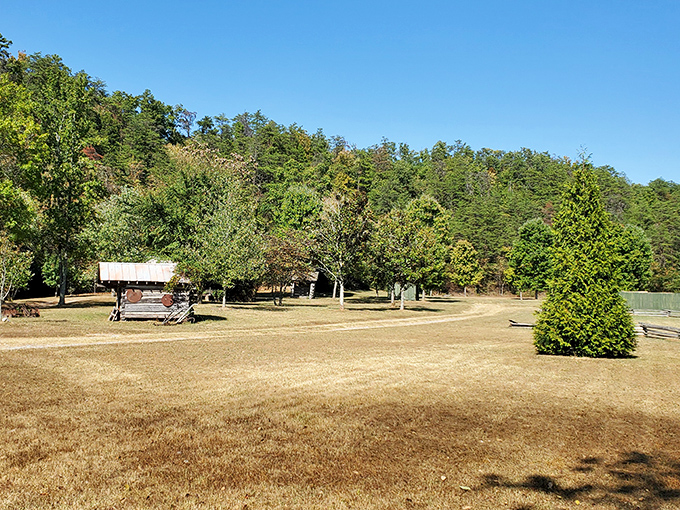The sprawling grounds offer a peaceful contrast to the mechanical marvel of the train—nature and industry coexisting in a uniquely American tableau.