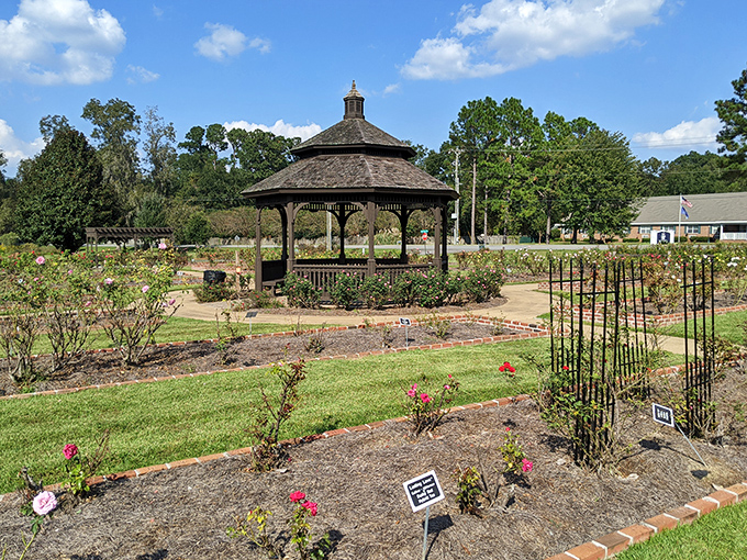 The Rose Garden's gazebo stands like a Victorian-era Instagram hotspot, surrounded by meticulously arranged blooms.