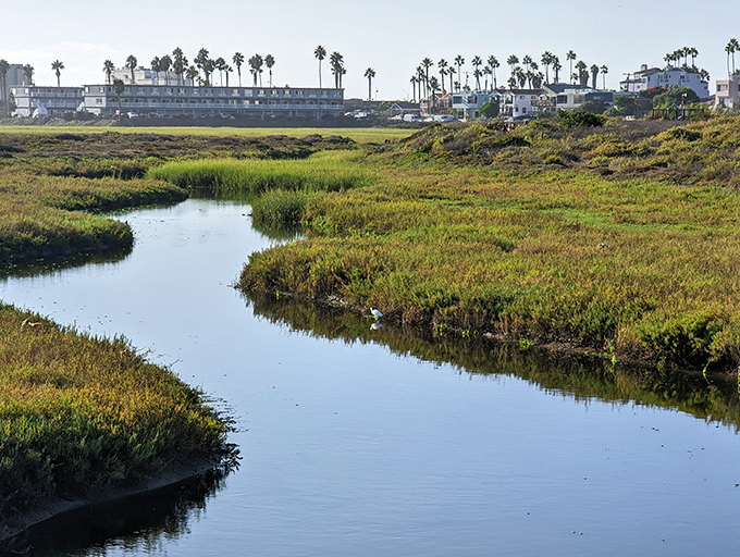The Tijuana River Estuary flows peacefully into the Pacific, surrounded by wetlands and wildlife that make Imperial Beach truly special.
