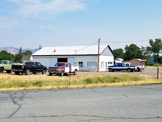In a world of disposable everything, places like this repair shop remind us that fixing things used to be the first option, not the last resort.