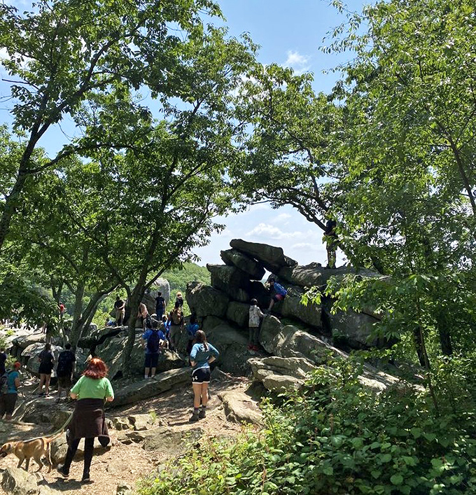 Nature's playground draws crowds on sunny days. That moment when you realize your hiking boots were the best investment since streaming services.