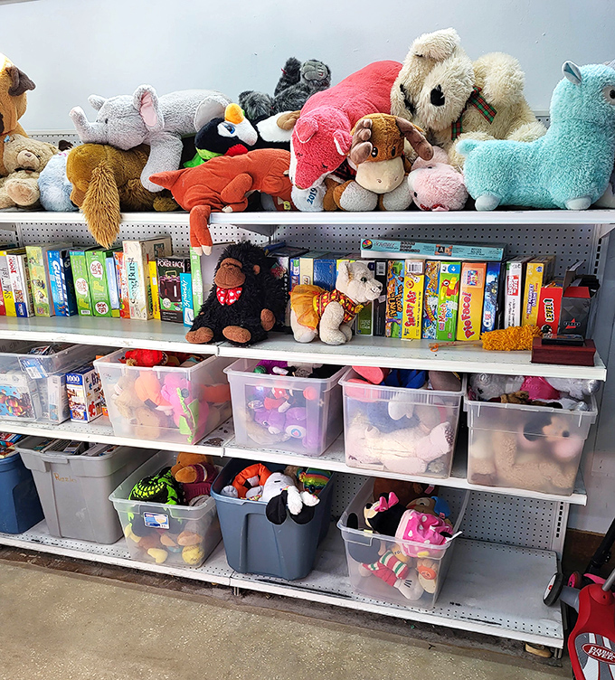 Stuffed animals having their last sleepover before finding forever homes. The toy section is where childhood memories get their second act.