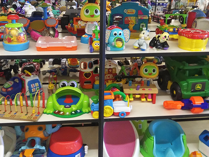 Childhood magic lives on these shelves, where forgotten toys find new playmates.