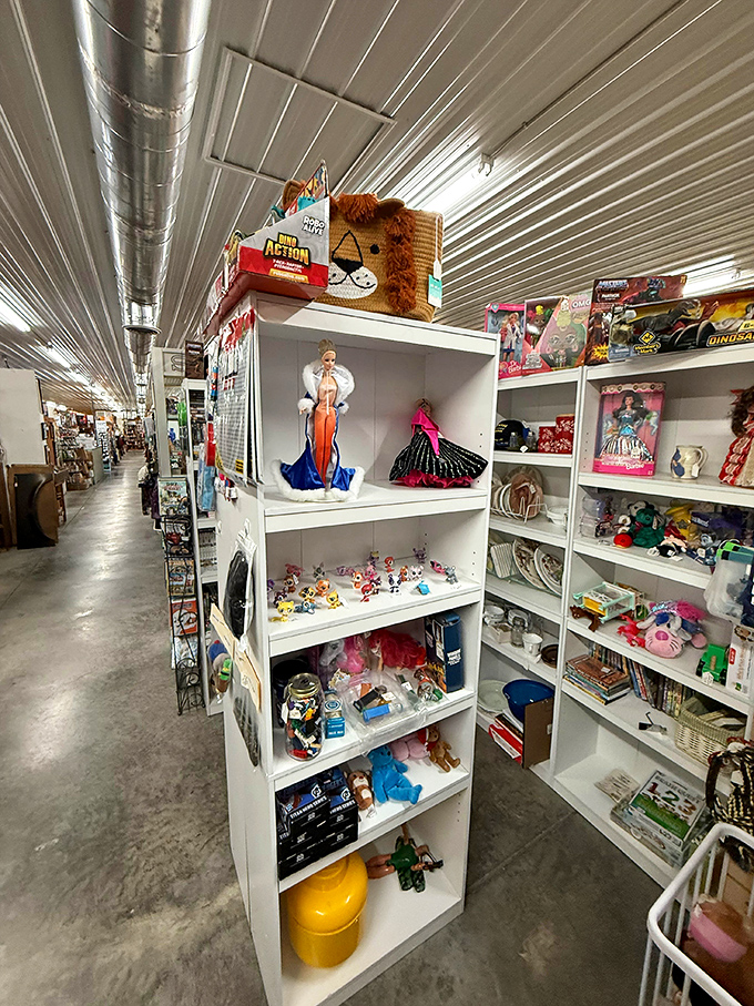 A toy collector's dream where childhood memories are stacked floor to ceiling. That teddy bear has seen things you wouldn't believe.
