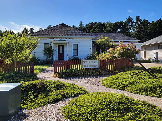 History housed in charm. The Trinidad Museum's white clapboard and picket fence whisper tales of coastal California's past without shouting for attention.