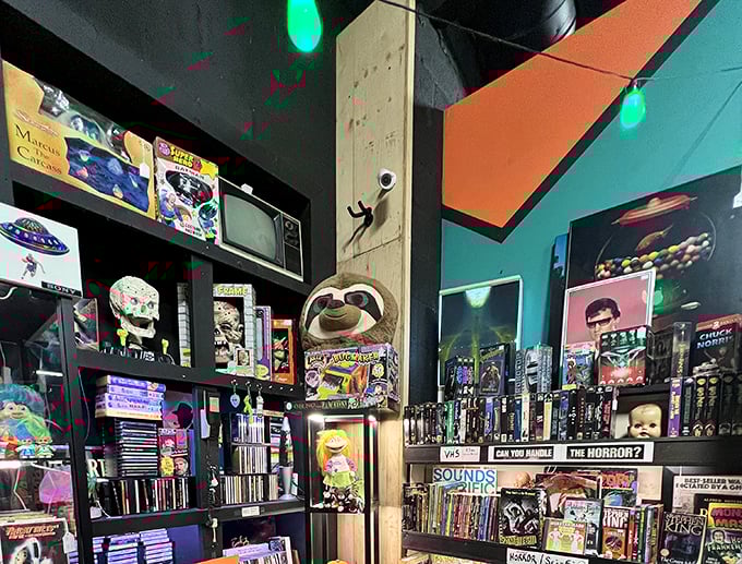 The pop culture corner where VHS tapes, action figures, and nostalgic memorabilia create a shrine to childhoods of the 70s, 80s, and 90s.