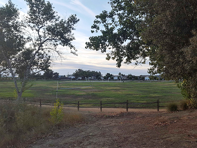 Valley Vista Park offers sweeping views that remind you why California's landscapes have inspired generations&mdash;no admission fee required for this natural masterpiece.