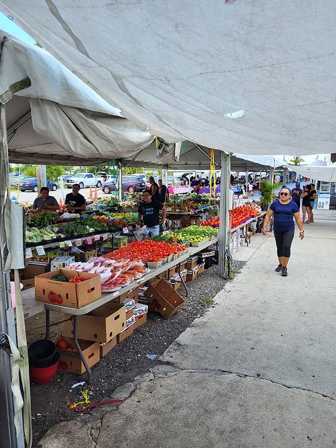 Garden-fresh goodness lines these tables, where produce vendors create a rainbow of flavors that put supermarket offerings to absolute shame.