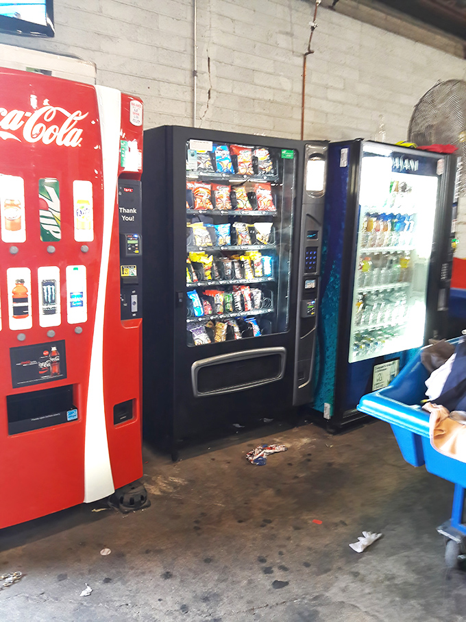 Fuel for the hunt! These vending machines keep bargain warriors hydrated and energized through marathon treasure-seeking sessions.
