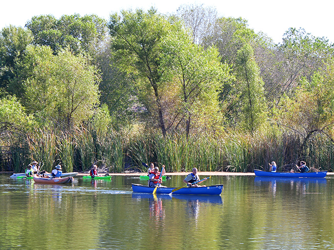 Kayakers glide across the Verde River's glassy surface, enjoying nature's premium entertainment package at budget-friendly prices.