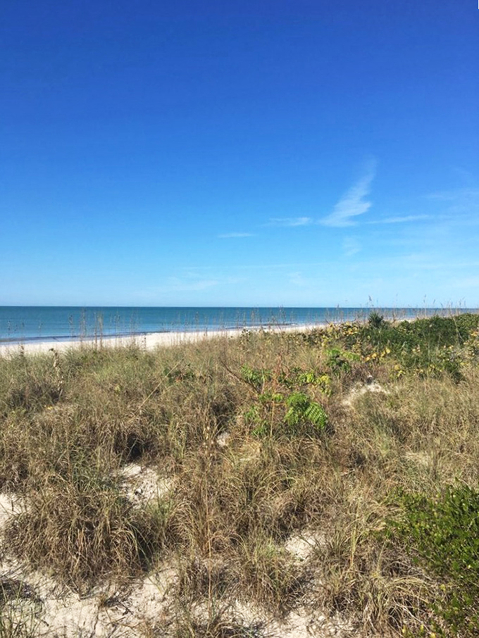 The dune's-eye view reveals what makes Florida special&mdash;that perfect meeting point where golden grasses bow to turquoise waters.