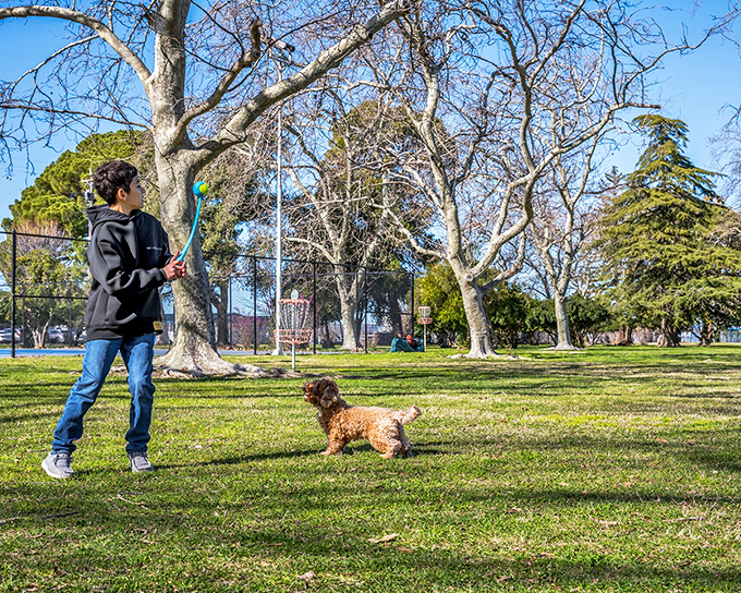 In Vinsonhaler Park, locals enjoy simple pleasures like playing fetch with four-legged friends &ndash; the kind of everyday joy that doesn't appear on any retirement calculator. 