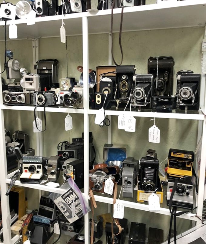 A photographer's paradise of vintage cameras &ndash; each one representing someone's captured memories and now waiting for a second life with a new generation.