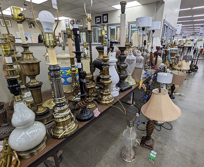 Lamp heaven! These vintage lighting options stand at attention like soldiers from different eras, ready to illuminate your reading nook. 