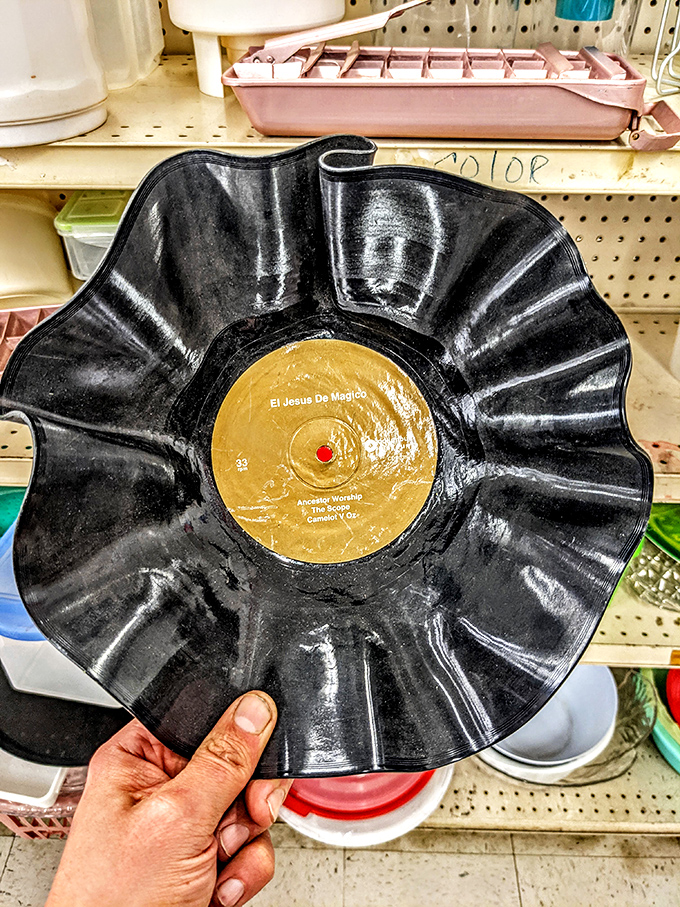 Vinyl gets a second spin as decorative art. Someone's discarded record has morphed into a conversation-starting bowl – upcycling at its most creative.