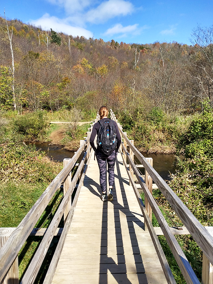 The path less traveled. A lone hiker crosses a wooden footbridge, following trails that reveal the park's natural beauty from ground level.