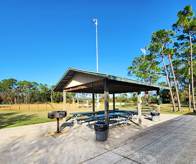 Wadsworth Park provides shaded picnic areas where locals gather for community events away from the beach crowds.
