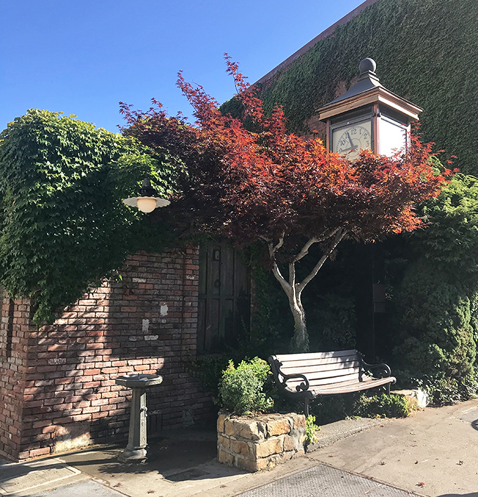 Ivy-covered buildings with antique clocks create Placerville's timeless ambiance. That bench has heard more small-town gossip than a barbershop quartet.