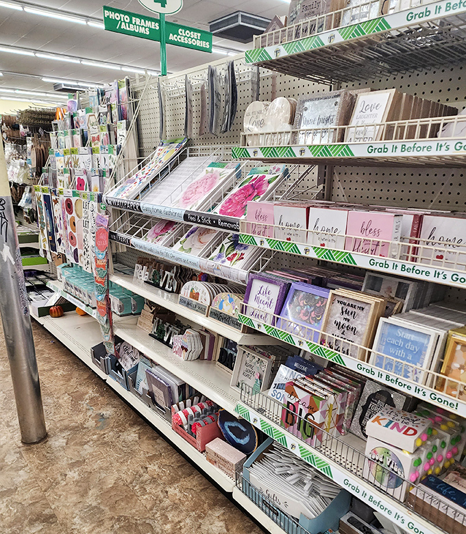 Wall decor that brings personality home without requiring interior designer consultation fees or second mortgage applications for style.