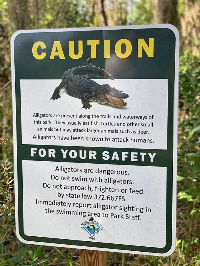 The alligator warning sign serves as Florida's version of a "Beware of Dog" notice, reminding visitors who the original residents really are.