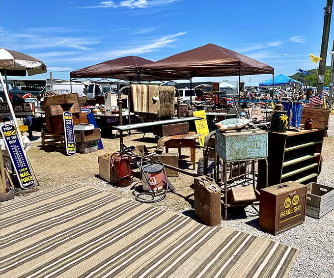 Rusty gold for the taking! Vintage signs, weathered furniture, and mysterious metal contraptions create a playground for restoration enthusiasts.