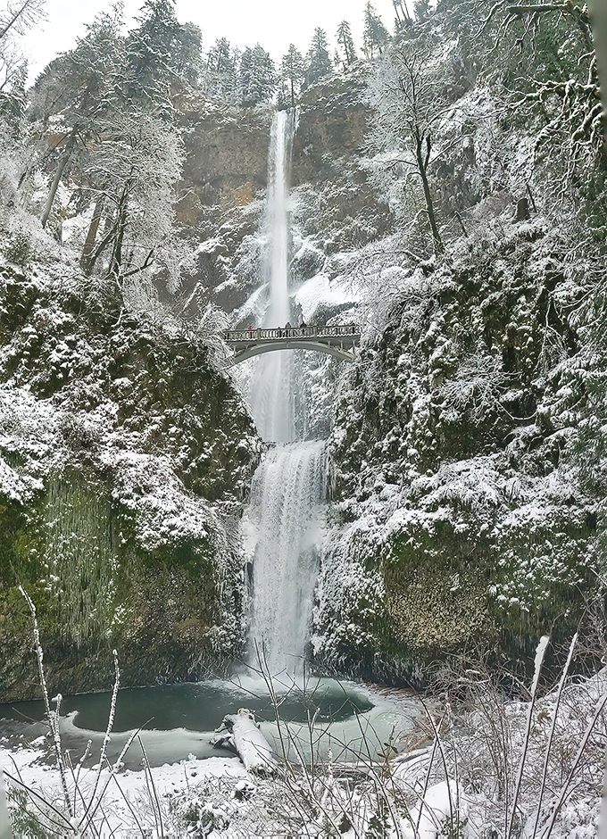 Winter transforms Wahkeena Falls into a snow globe come to life. The contrast of flowing water against frozen surroundings creates pure magic.