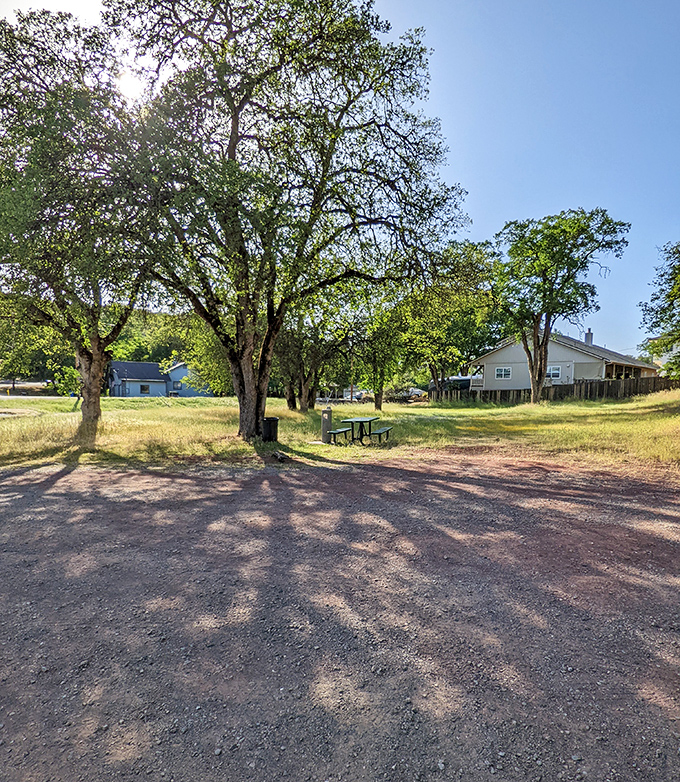 A picnic spot where the shade-to-sunshine ratio is just right, and conversations naturally drift toward "Why didn't we discover this place sooner?"