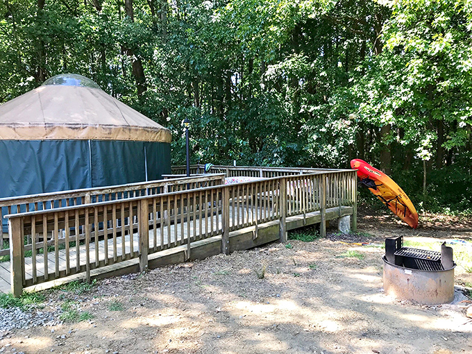 Yurt sweet yurt: where camping meets comfort in a circular masterpiece. Like staying in a hobbit home with better ventilation.