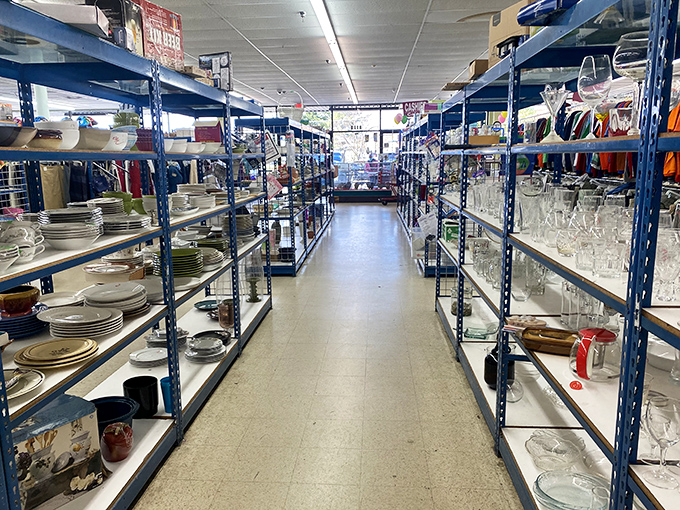 Wide aisles and organized shelves prove that thrift shopping doesn't have to feel like an archaeological dig.
