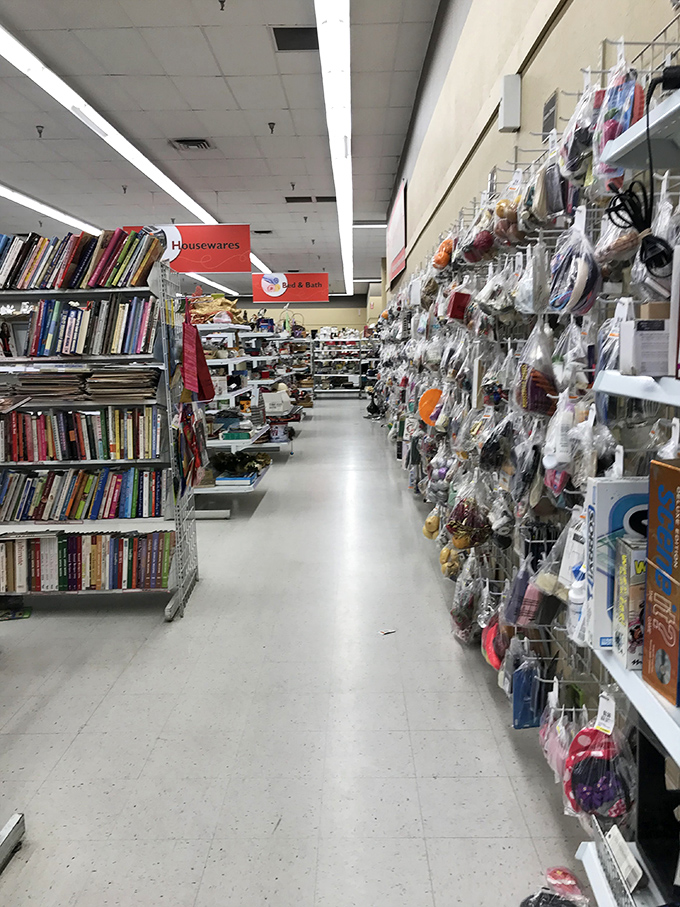 The well-organized aisles make treasure hunting surprisingly civilized. Between cookbooks and crafting supplies lies the path to your next unexpected obsession.