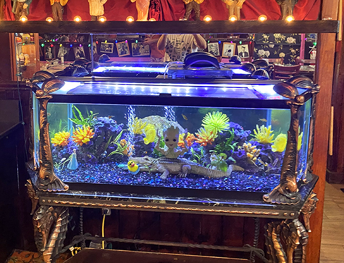 Even the aquarium gets the full theatrical treatment here, creating an underwater show between the vintage memorabilia.